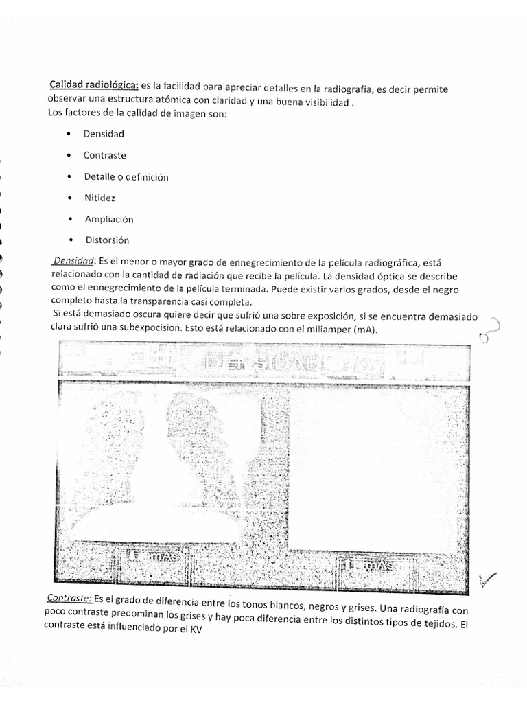 Nuevo Documento | PDF