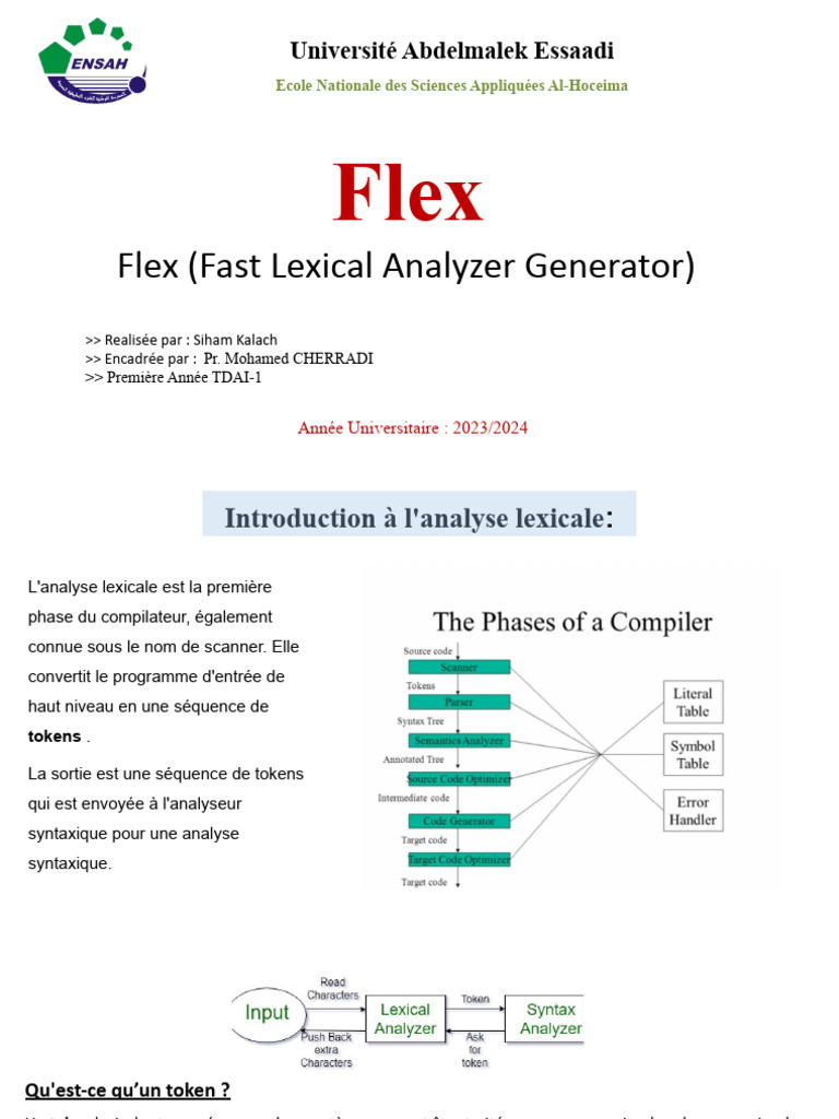 Flex | PDF | Informatique | Programmation informatique