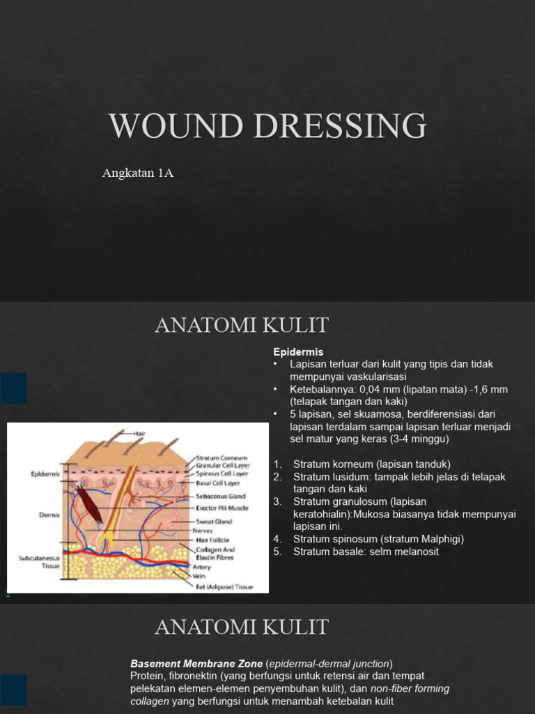Wound Dressing 1A | PDF