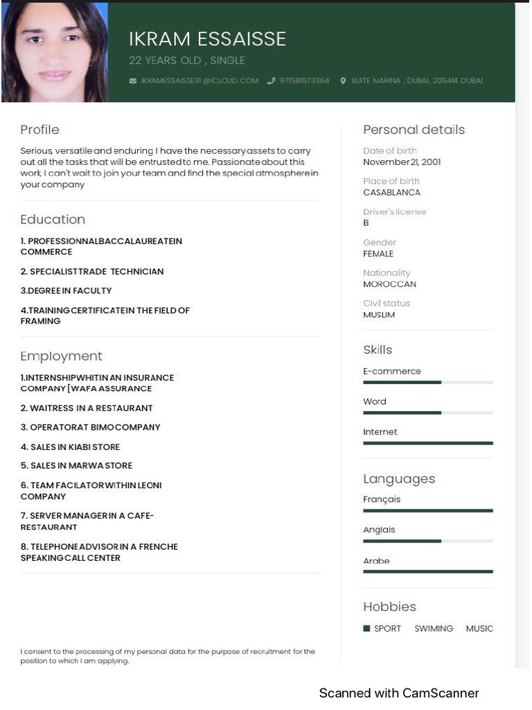 CV Ikram Nouveau | PDF