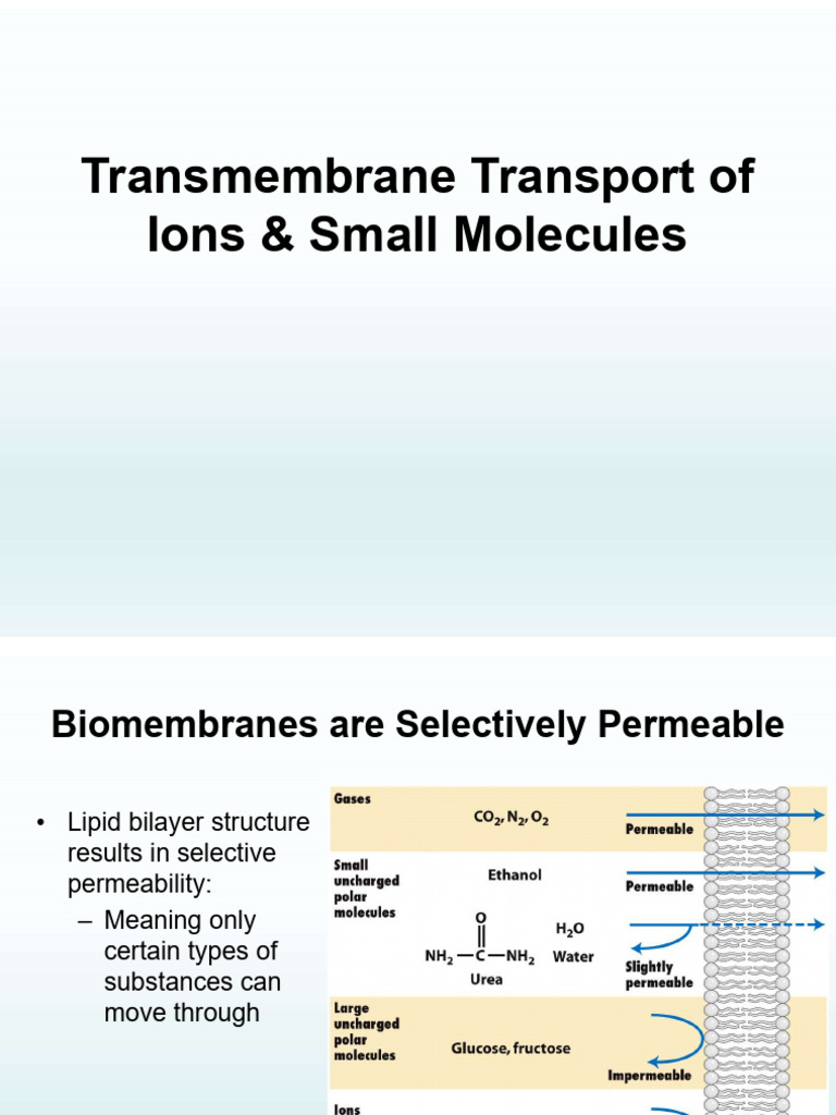 Transmembrane Transport of Small Ions and Molecules | PDF | Cell ...