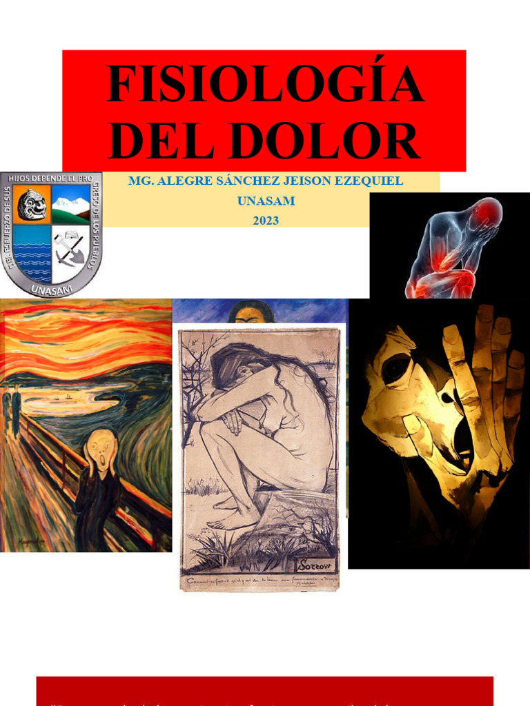 Zonas y Transmisión del Dolor | PDF | Relaciones personales, crianza y ...