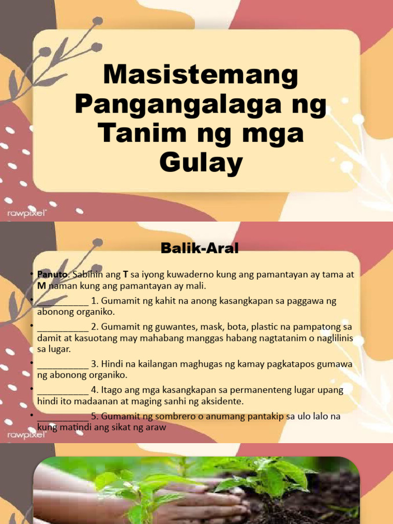 Masistemang Pangangalaga NG Tanim NG Mga Gulay - Week 3 | PDF Masistemang Pangangalaga NG Tanim NG Mga Gulay - Week 3 | PDF