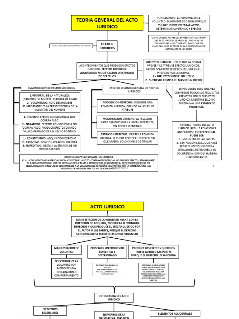 Acto Juridico-Cuadros Resumen | PDF