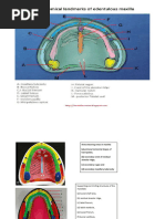 Challacombe Scale ENG | PDF | Medical Specialties | Clinical Medicine