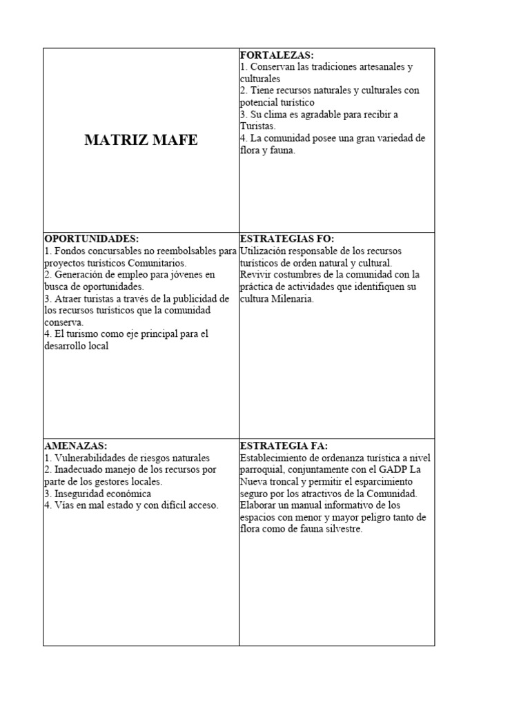 Matriz Mafe: Fortalezas | PDF