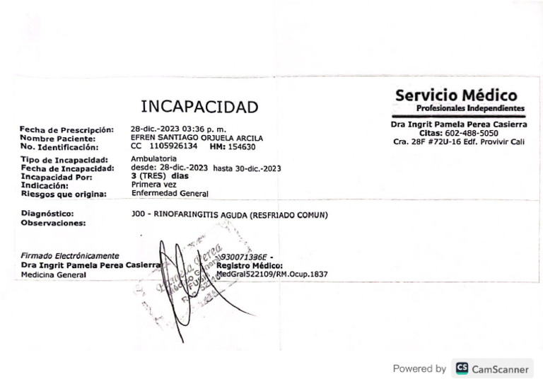 Incapacidad Efren | PDF