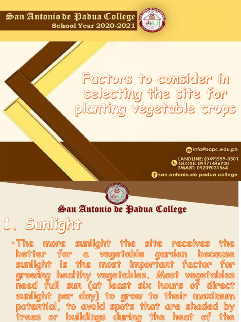 LESSON 1 Factors To Consider in Selecting The Site For Planting ... LESSON 1 Factors To Consider in Selecting The Site For Planting ...