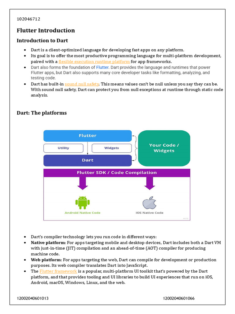 Flutter Report 1366 | PDF