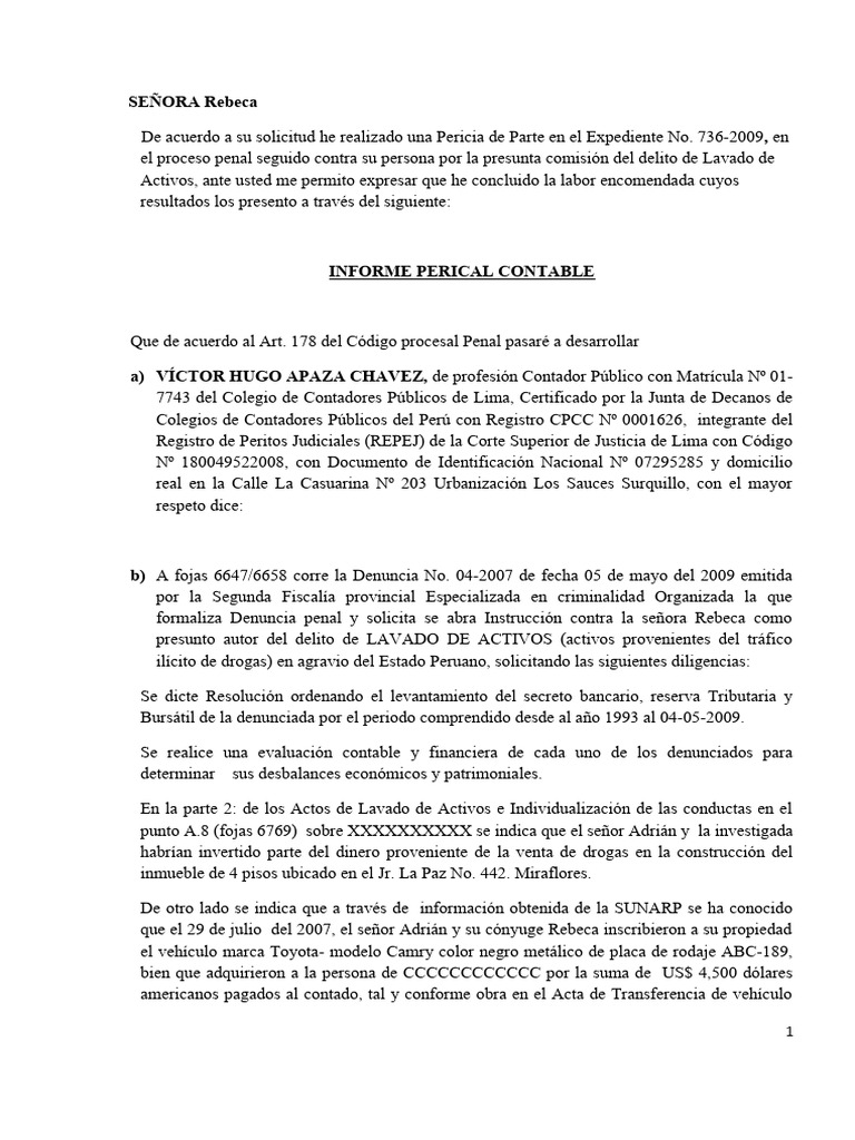 Informe Pericial Contable de Rebeca | PDF