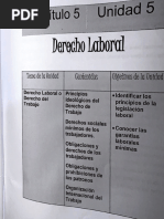 Ley 213 Codigo Laboral PDF 240917 134733 | PDF