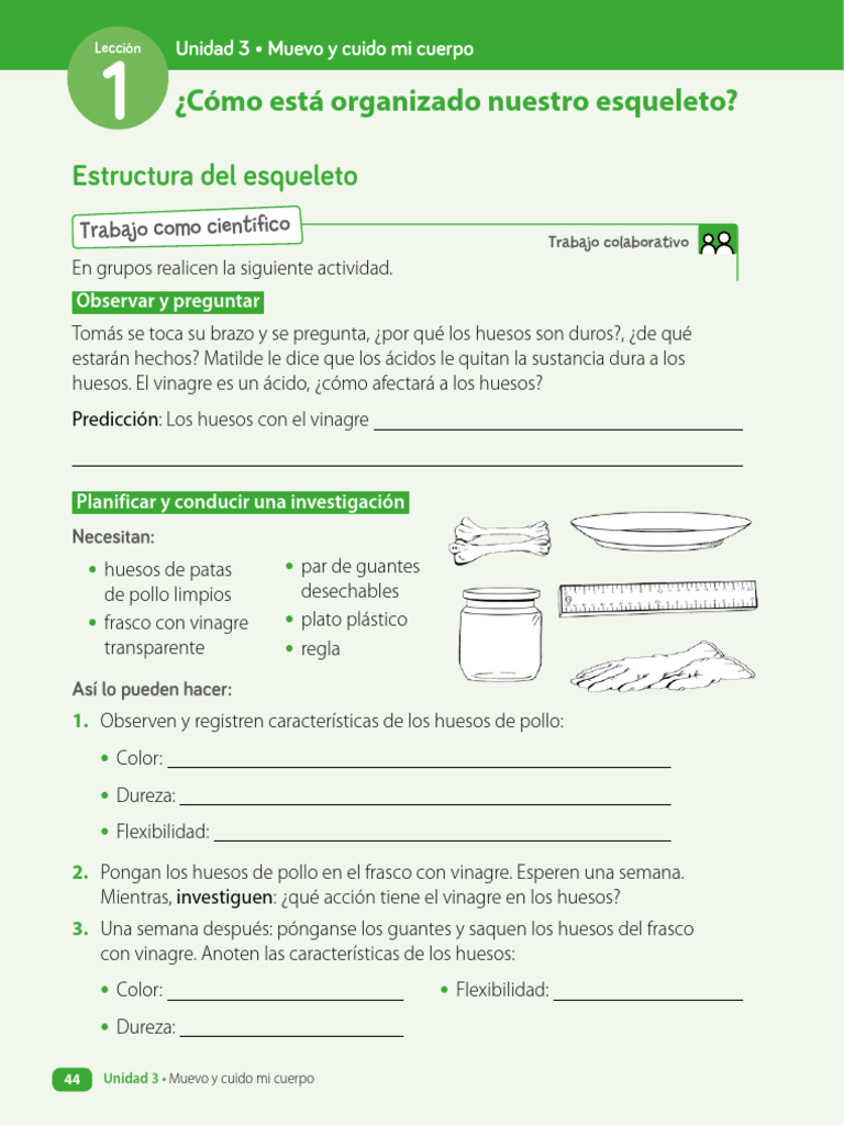 Guia de Ciencias y Laboratorio | PDF