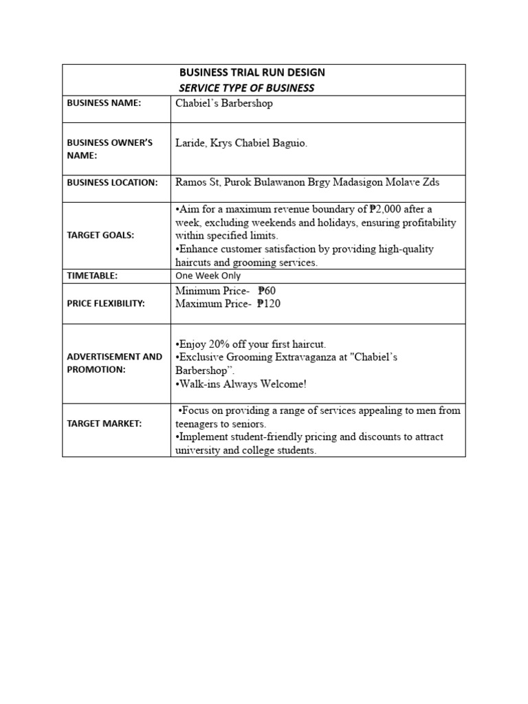 Business Trial Run Design | PDF | Marketing | Business Economics