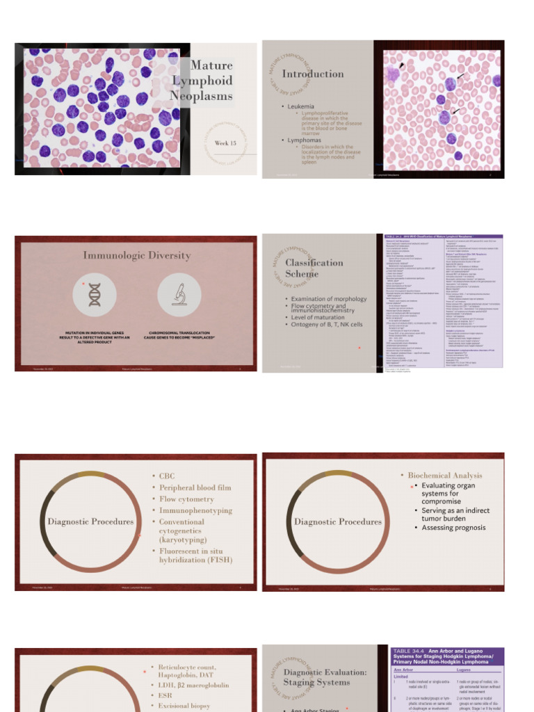 Argumentation And Debate Critical Thinking For Reasoned Decision Making Pdf