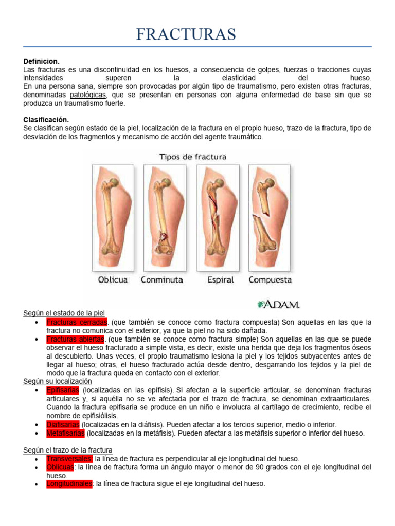 FRACTURAS | PDF | Hueso | Lesión