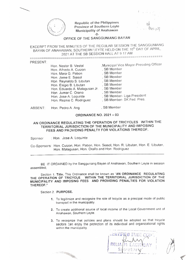 Ordinance 2021-03 (Tricycle Ordinance | PDF