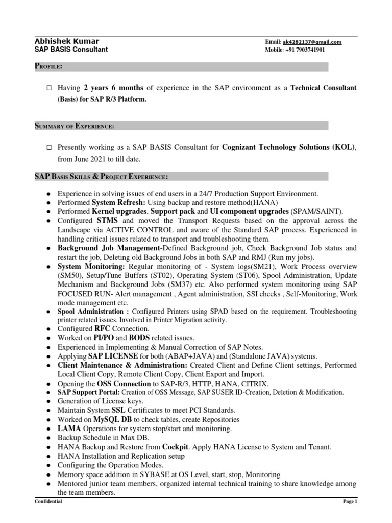 Sap Consultant Sample Resume | PDF | Operating System | Information Technology