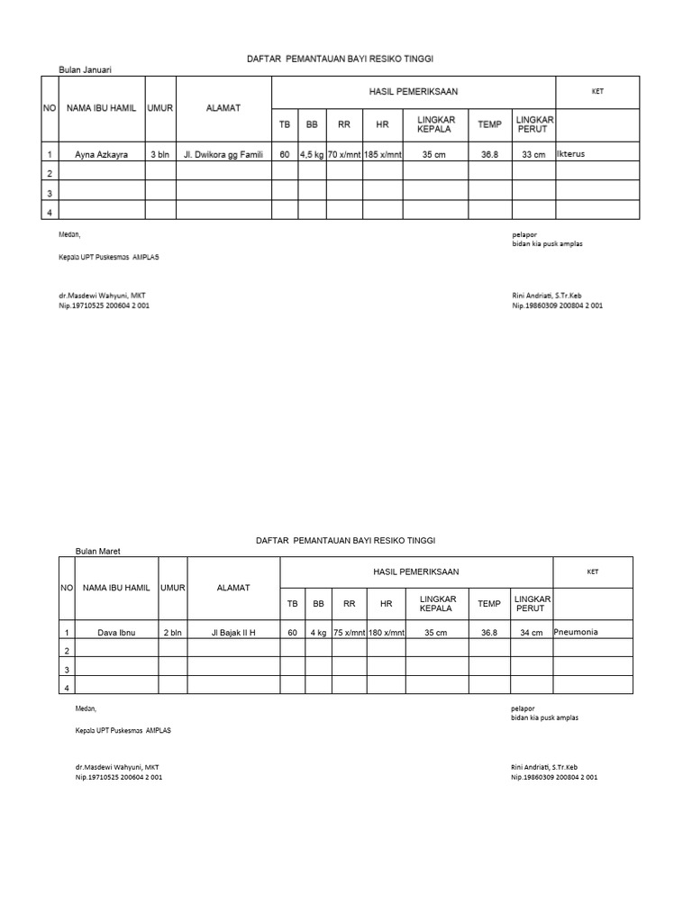 Pemantauan Bayi Risiko Tinggi 2023 | PDF