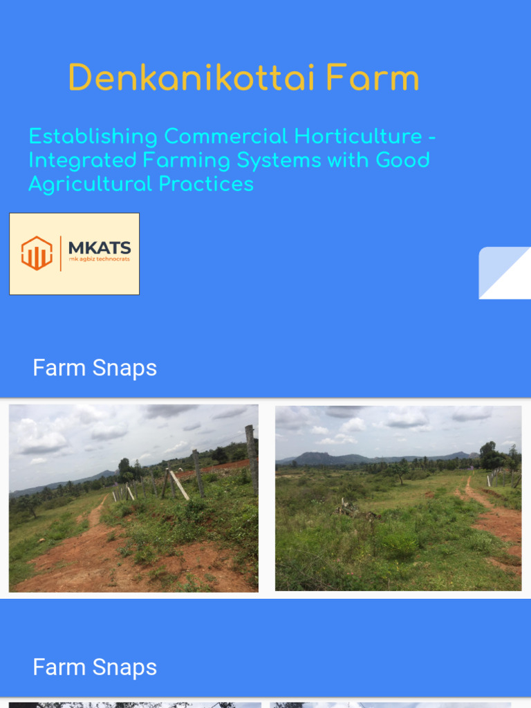 Denkanikottai Farm | PDF | Loans | Farms