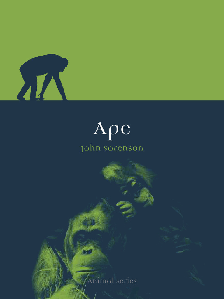 (John Sorenson) Ape (Reaktion Books - Animal) | PDF | Orangutan | Ape