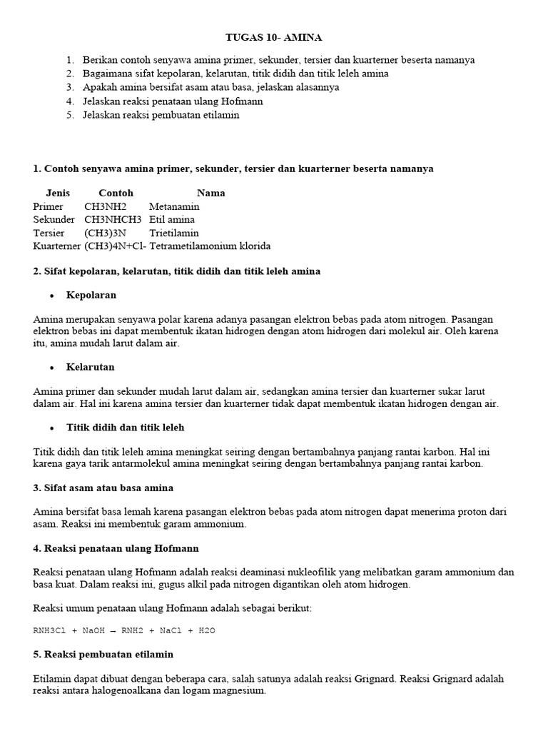TUGAS 10- AMINA[1] | PDF