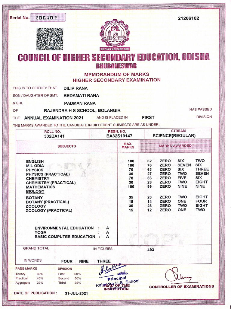 +2 Certificate | PDF