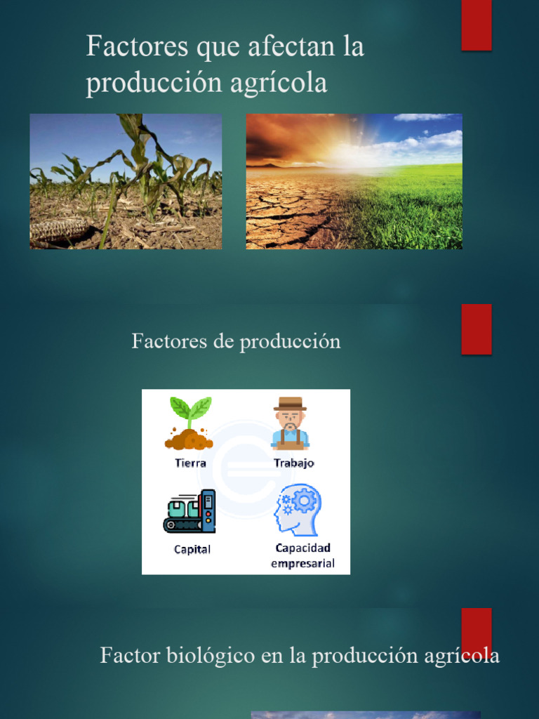 Factores Que Afectan La Producción Agrícola | PDF