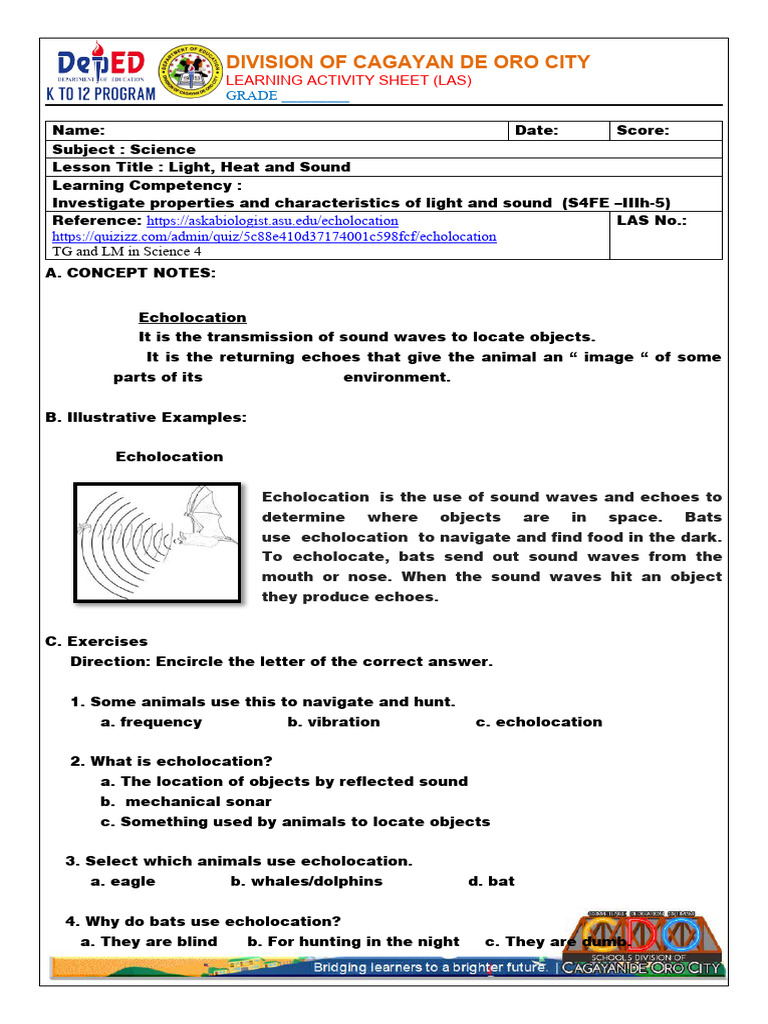 3Q EDITED-Echolocation-Science-4 Iponan | PDF