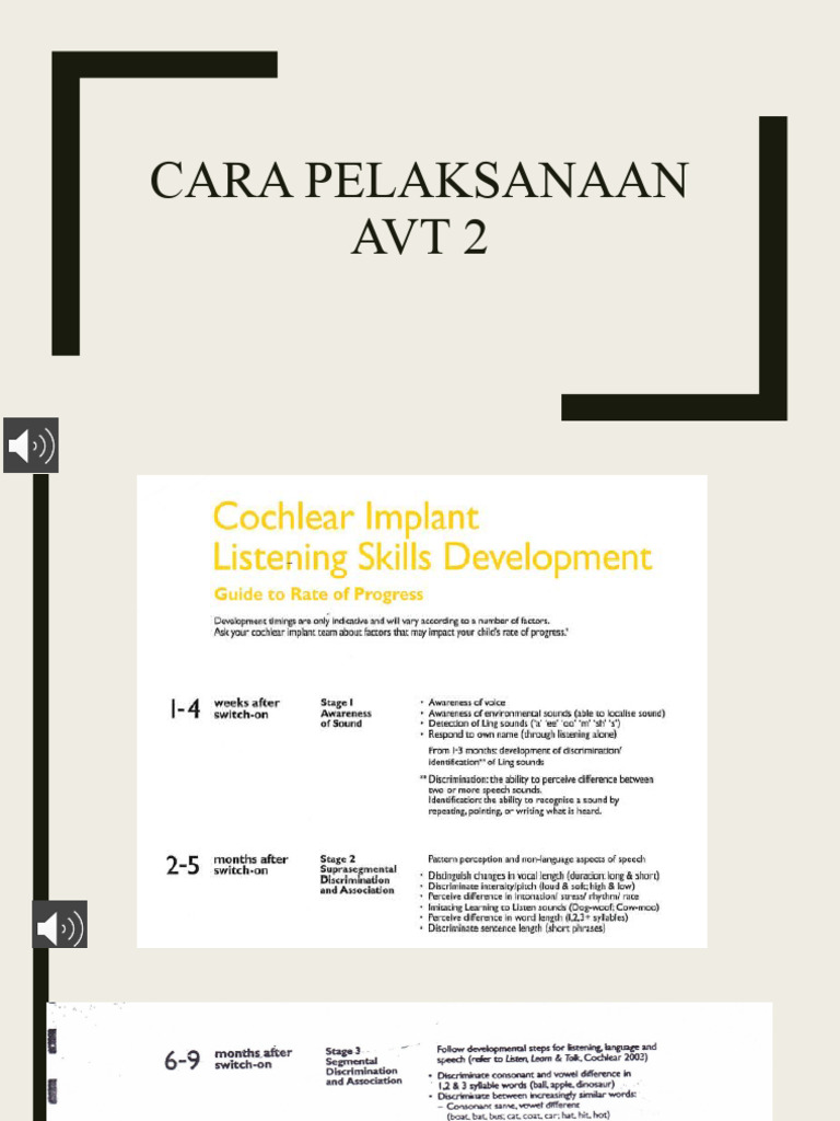 Cara Pelaksanaan AVT 2 | PDF