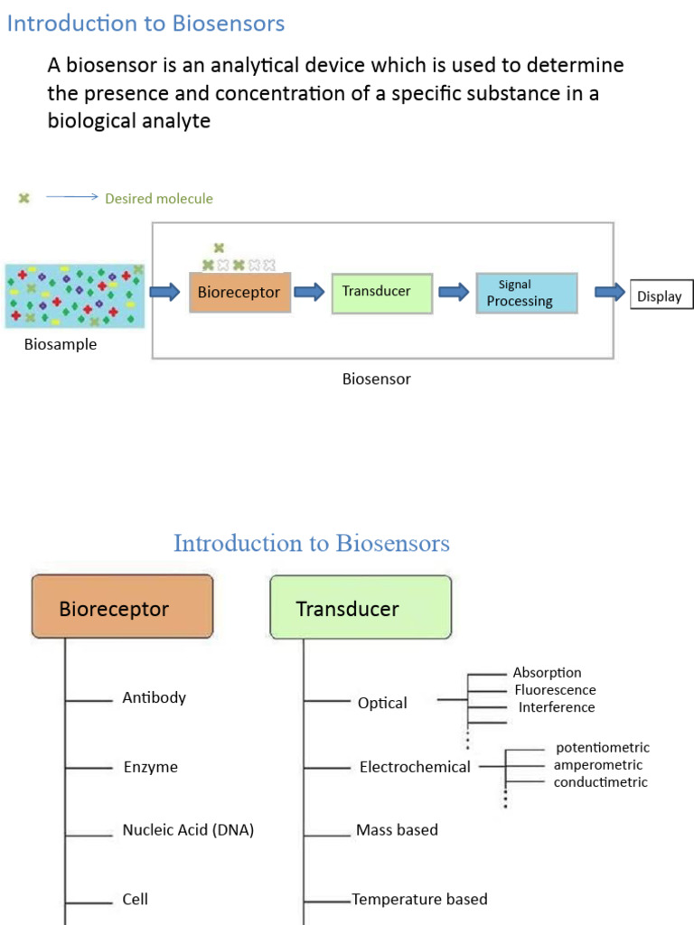 Bioreseptor Biosensor | PDF
