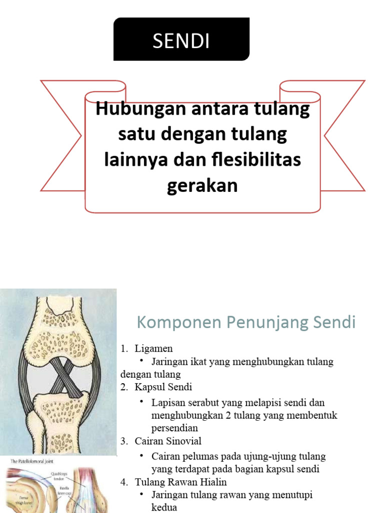 Sistem Gerak | PDF
