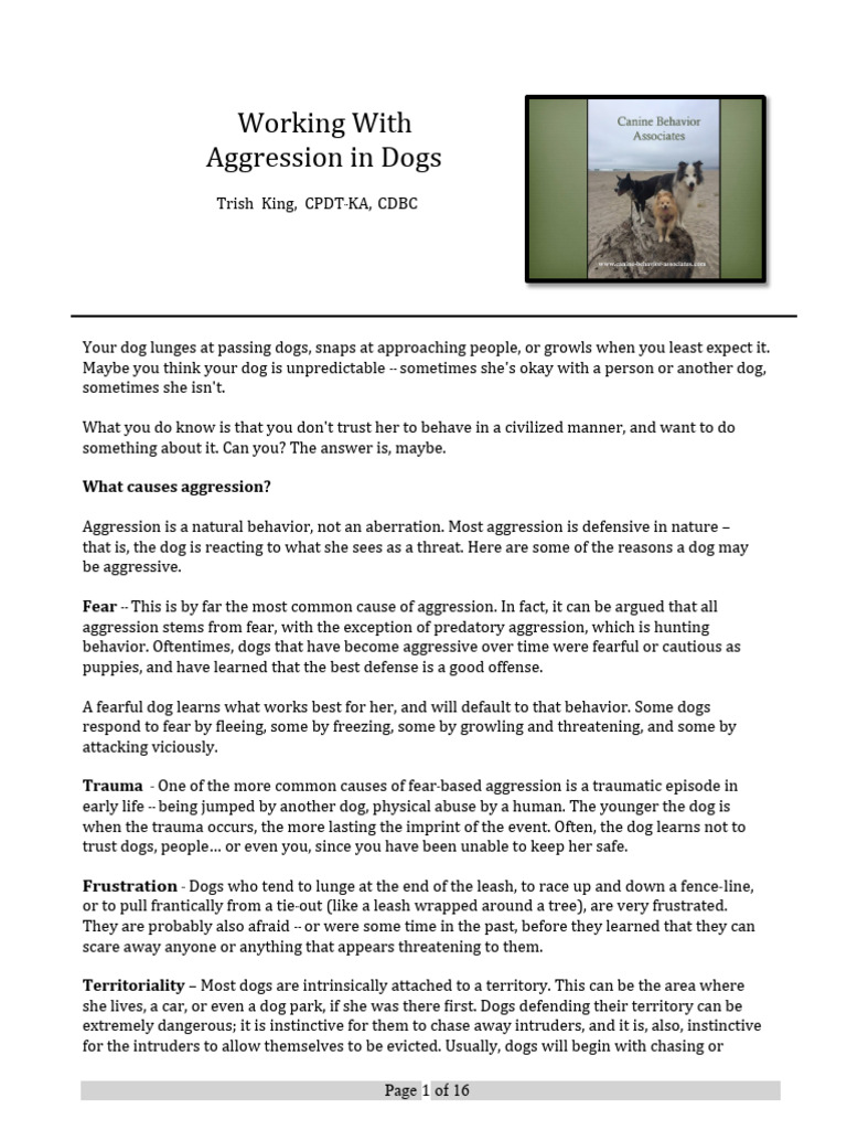 Working With Aggression in Dogs | PDF | Aggression | Dogs