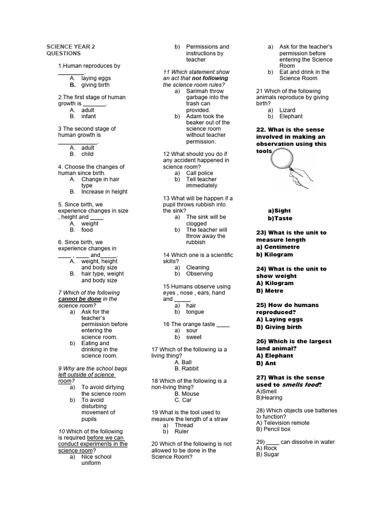 Year 2 Science Exam Questions | PDF | Senses | Science