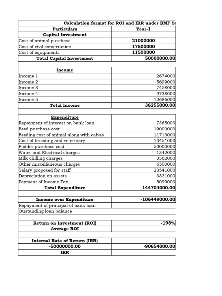 Calculation Format of ROI IRR | PDF Calculation Format of ROI IRR | PDF