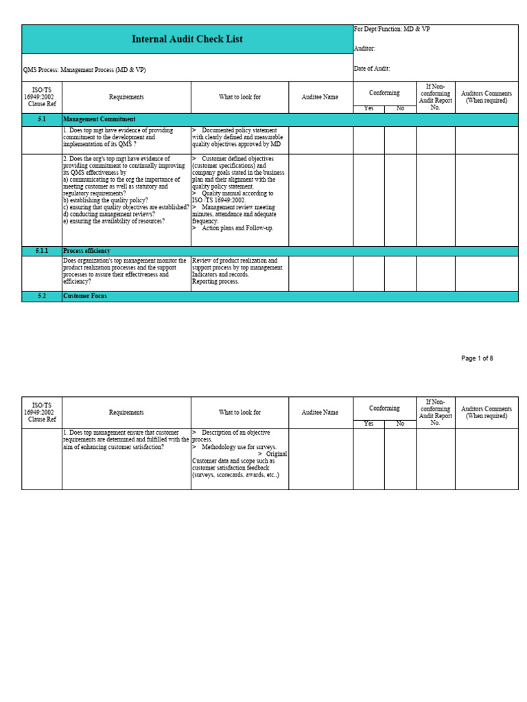 Manangement Audit Check Sheet | PDF