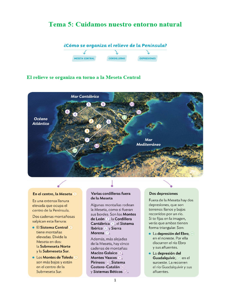 Cuidamos nuestro entorno natural 5º Primaria | PDF