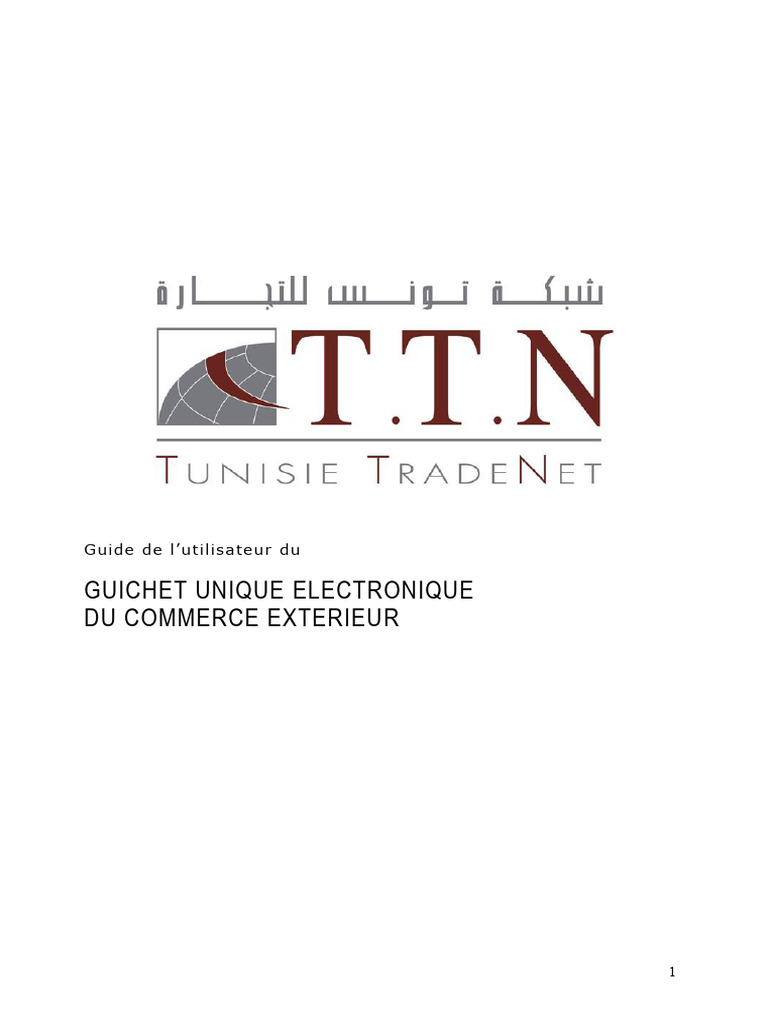 Guide Web TTN 2023 | PDF