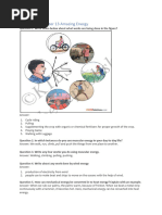 Case Study Questions Class7 | PDF | Cellular Respiration | Digestion