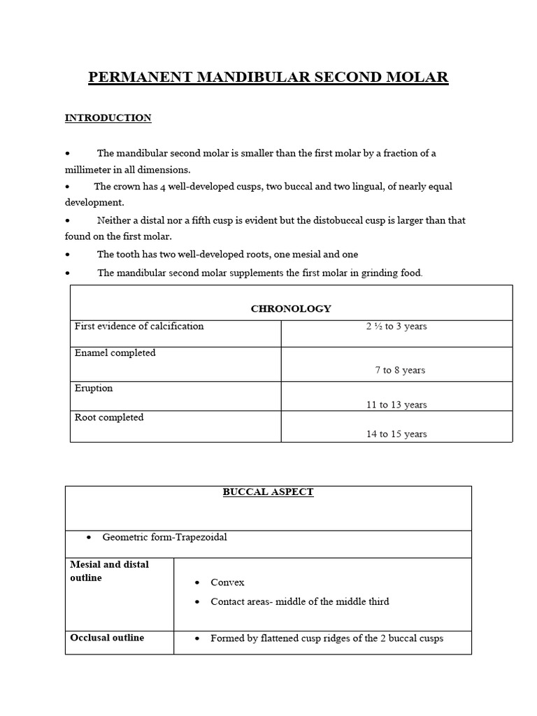 Mandibular 2nd Molar | PDF | Dental Anatomy | Mouth