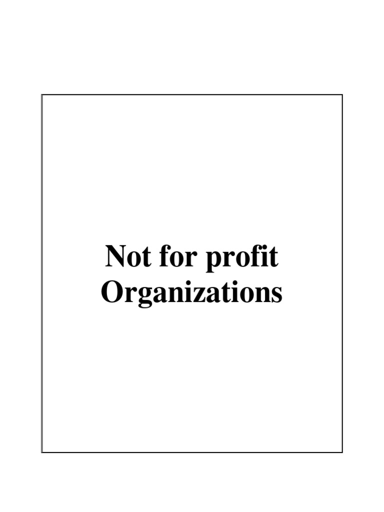 Performance Measurement in Nonprofits | PDF | Nonprofit Organization ...