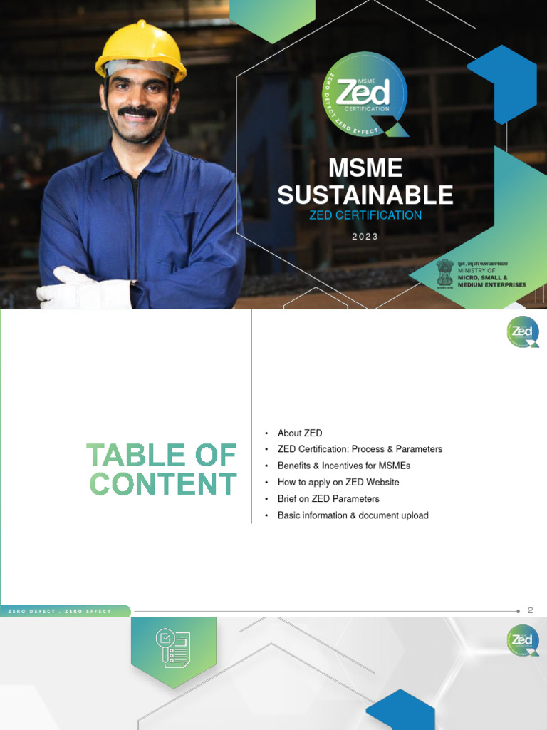 ZED Awareness PPT 211052023 | PDF