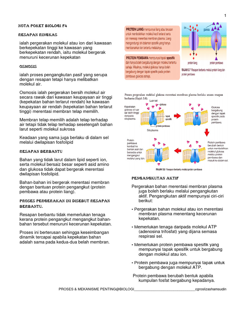 Nota Poket f4 | PDF