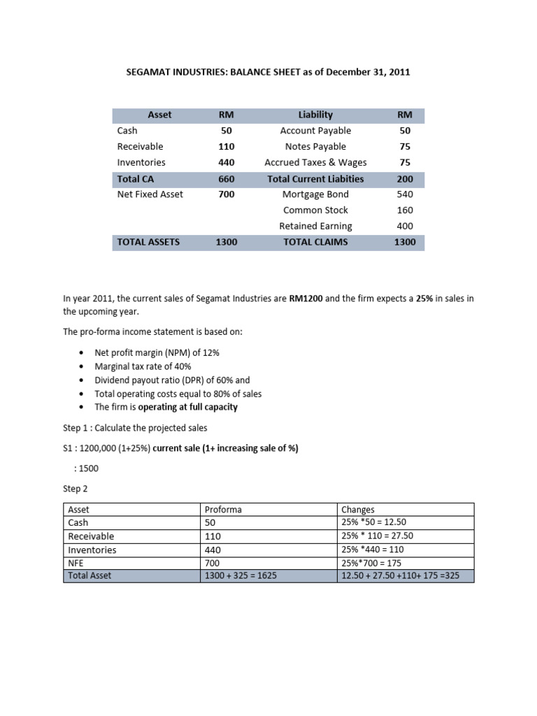 Example Proforma and Short Notes | PDF | Balance Sheet | Financial ...