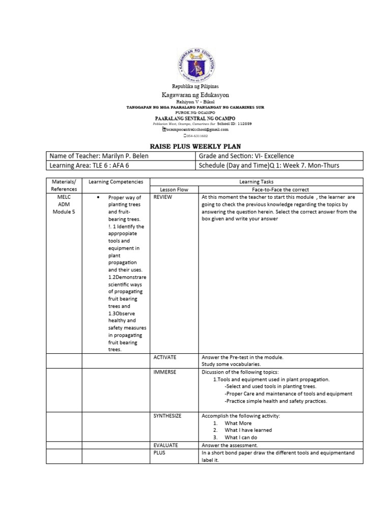 lesson-plan-Project-Raise-f2f Q1, Week6 TLE AFA | PDF