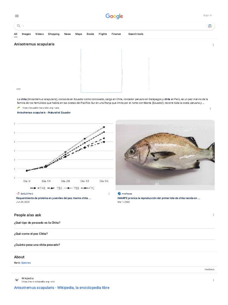 Información sobre el pez chita | PDF | Pescado