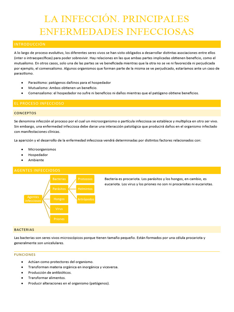 La Infección. Principales Enfermedades Infecciosas | PDF | Infección ...