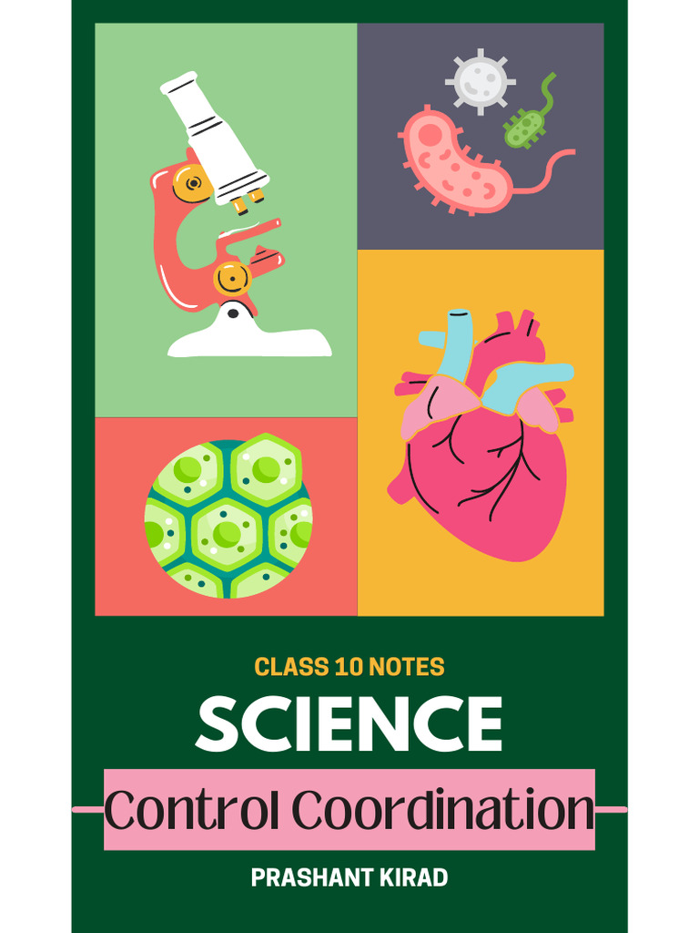Control Coordination (Prashant Kirad) | PDF