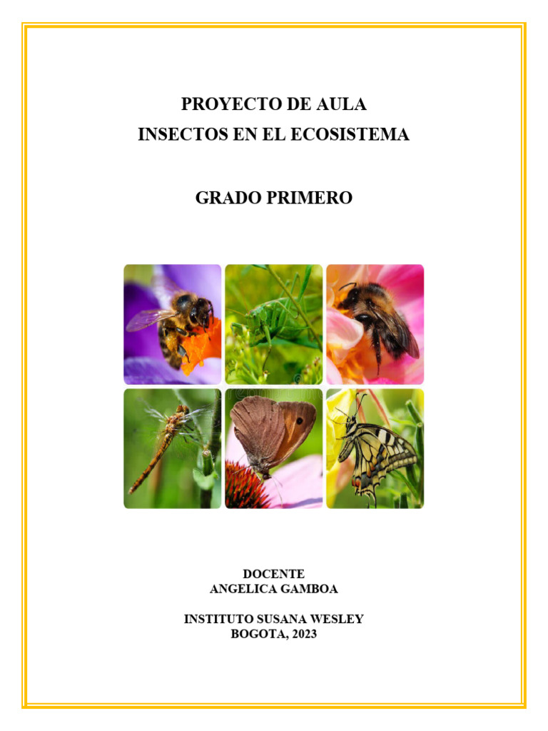 Proyecto de Aula Los Insectos | PDF