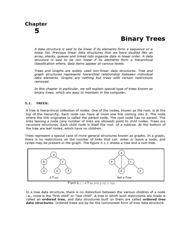 Binary Trees | Download Free PDF | Applied Mathematics | Computer Science