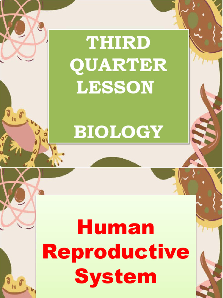 Human REproductive System | PDF